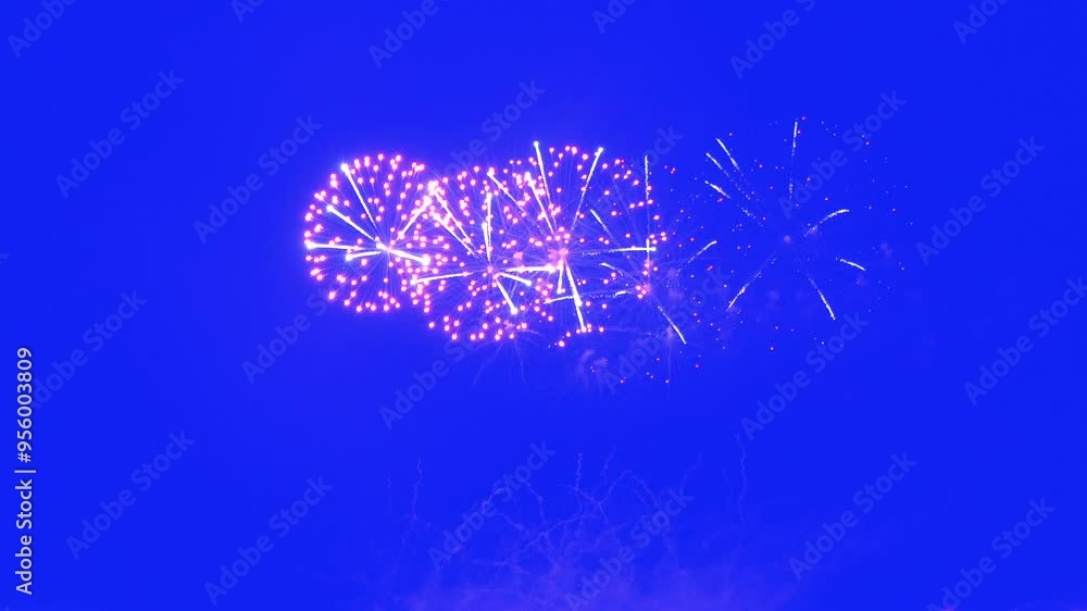 Abstract Real Firework on blue screen chroma key background, 4th of ...
