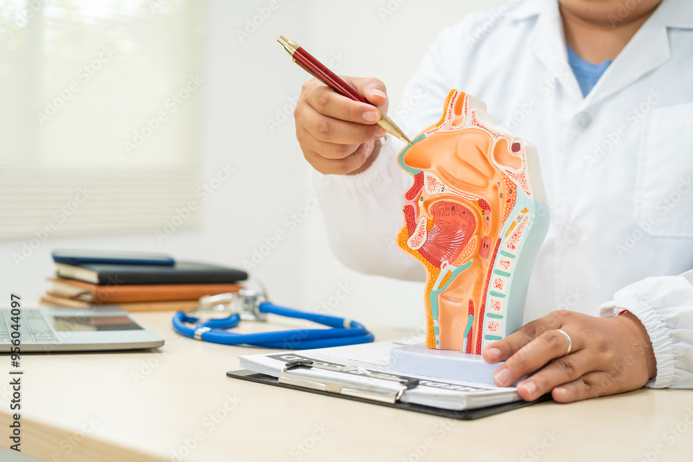 A female doctor works at a desk in the hospital, discussing the human ...