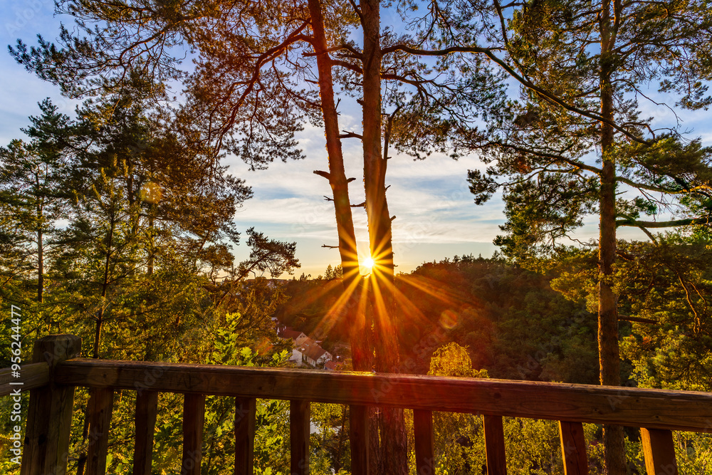 sunset between two tree trunks. The sun forms a sun star. In the ...