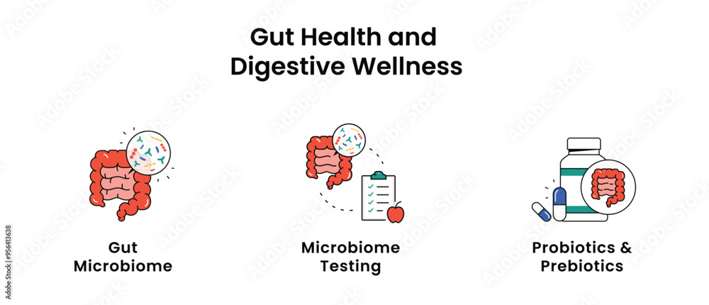 Gut Health and Wellness Illustration. Including Probiotics and ...