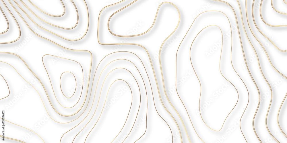 A Deep Dive into the Role of Topography and Topology in Vector Map ...