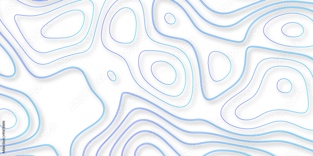 The Synergistic Effect of Topography and Topology in the Development of ...