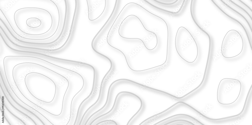 An Exploration of the Relationship Between Topographic and Topological ...