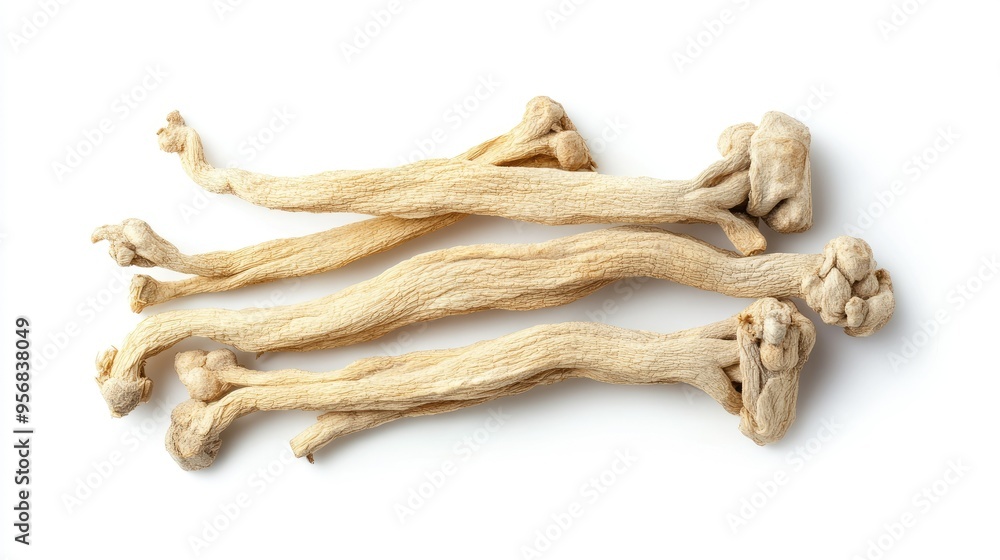 Cluster of dried ginseng roots isolated on a white background ...