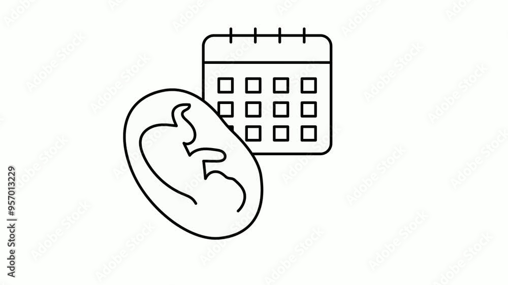 Baby Birth Expected Date animated video, Gestational age or Fetus Week ...