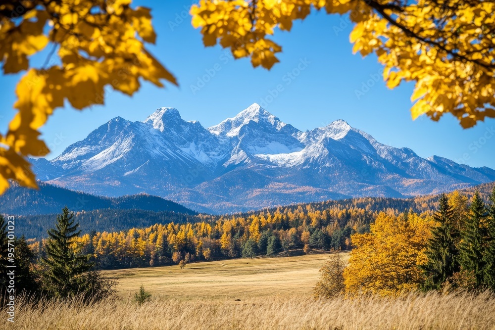 From Lapszanka pass, in Poland and Slovakia, a colorful autumn panorama ...