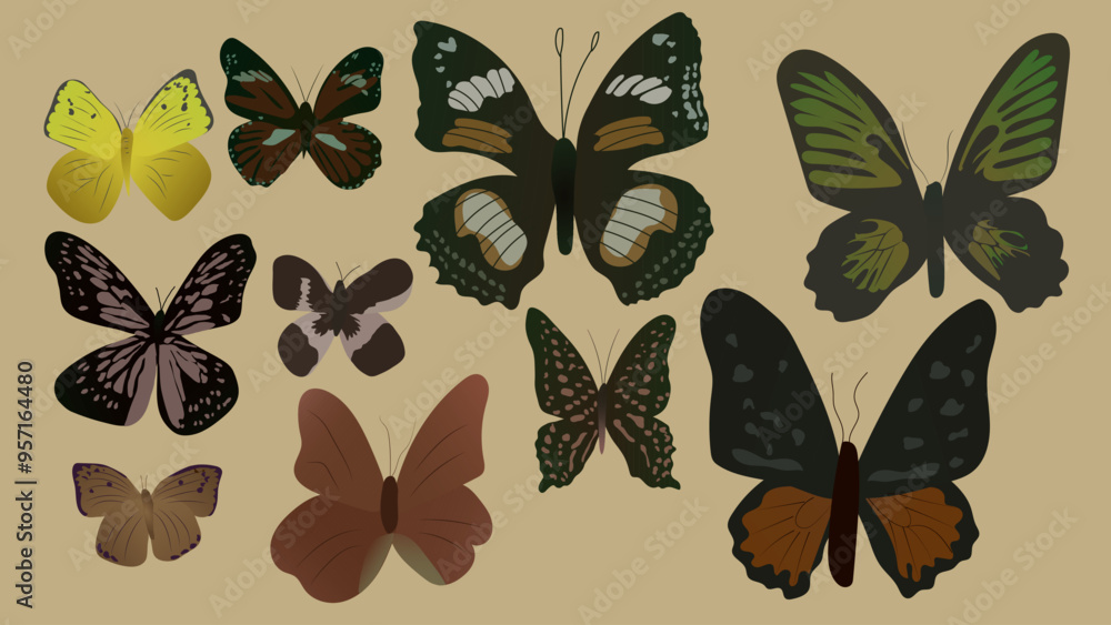 Collection of vintage color hand drawn butterflies of various shapes ...