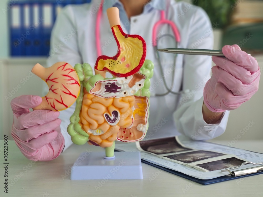 Disease of the stomach and intestines of the digestive system. Doctor ...