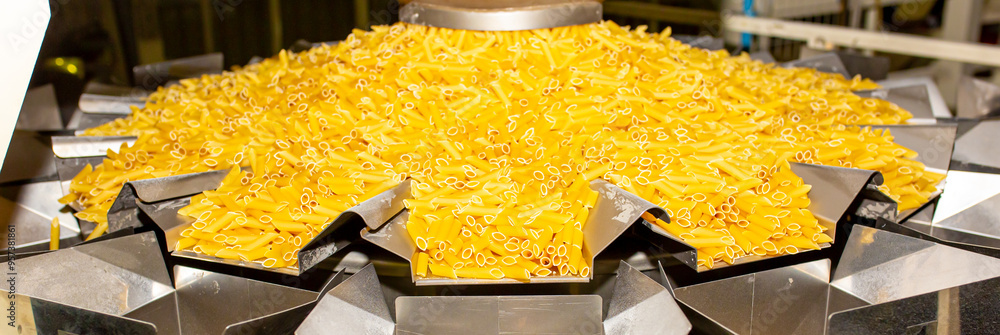 Pasta factory. Close-up of raw pasta on machines and conveyor. Pasta ...