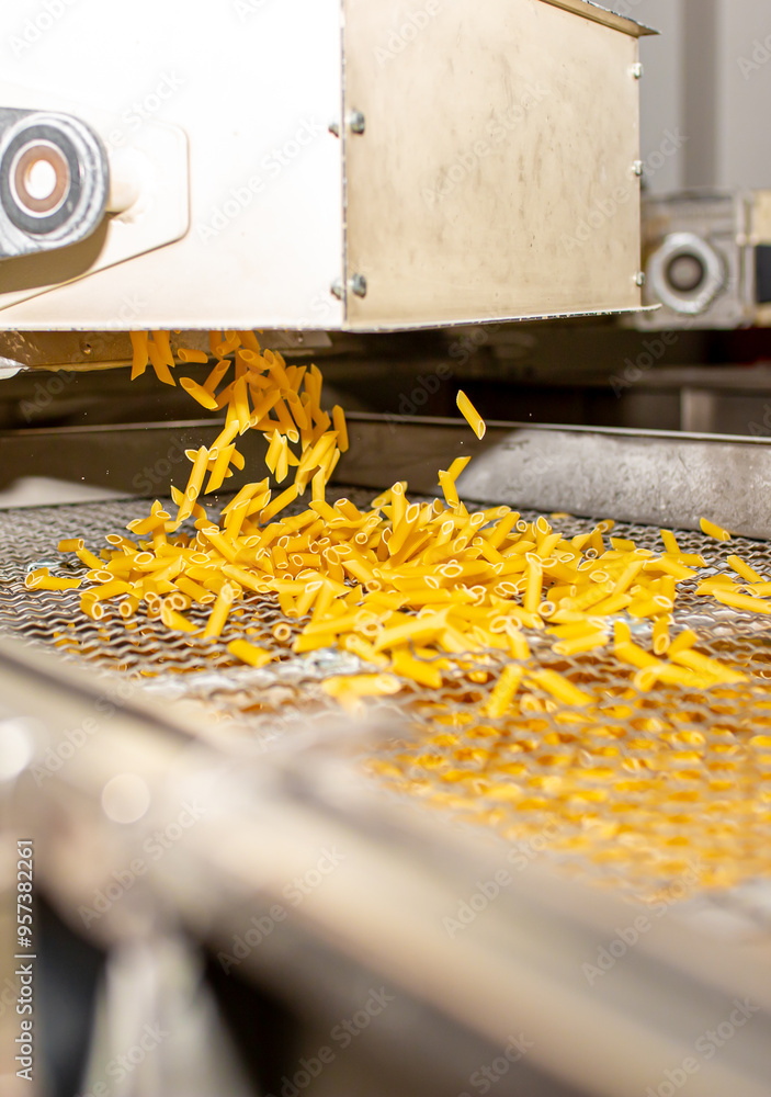 Pasta factory. Close-up of raw pasta on machines and conveyor. Pasta ...
