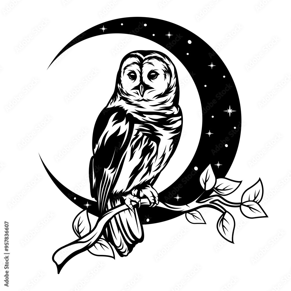 Owl Moon | Nature Scene | Wildlife | Owl | Half-moon | Night Owl ...