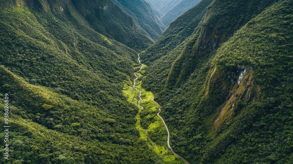 Aerial view of the Inca Trail winding through lush forests and rugged ...