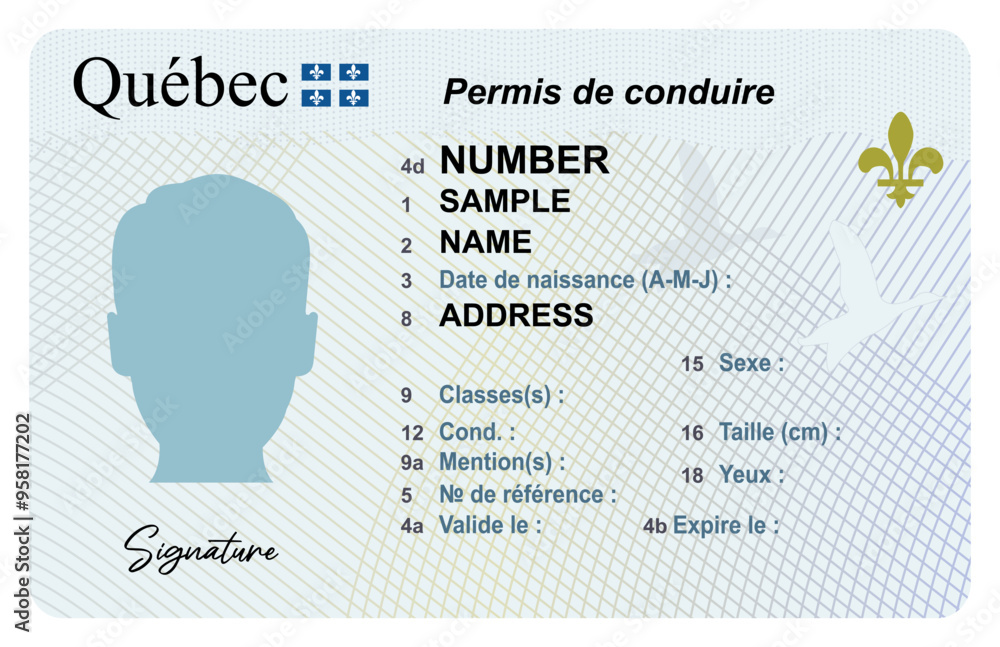Driver's license. Québec driver license isolated on white background ...
