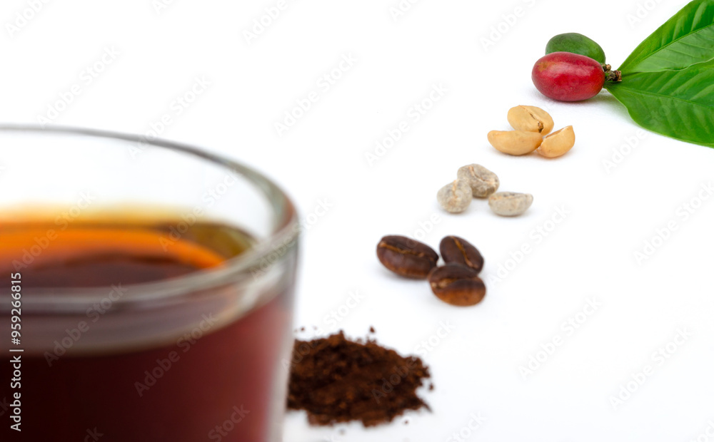 Granos de café. Etapas fenológicas del proceso de producción. Del fruto ...