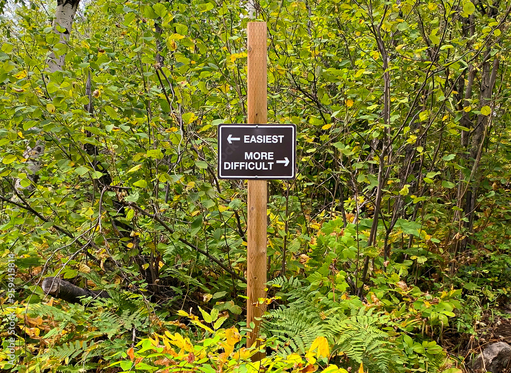Amidst lush foliage, a wooden post marks diverging trails: one a gentle ...