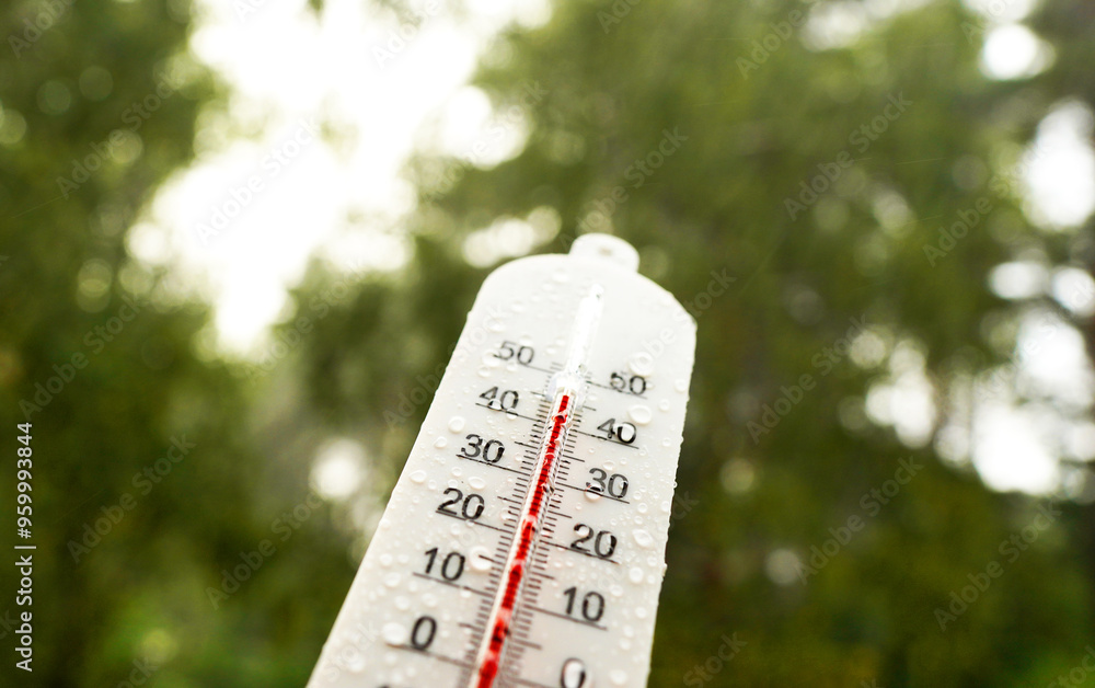 Thermometer for measuring outdoor air temperature. Tropical rain ...
