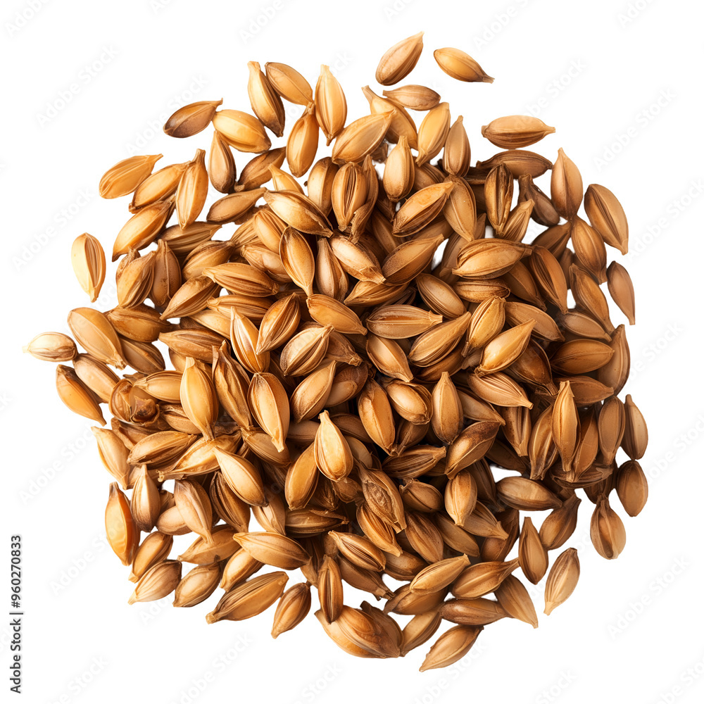 Malt, Cereal, Isolated on Transparent Background, Graphic Resource for ...