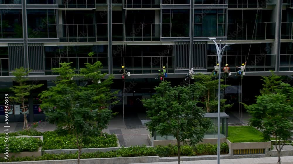 Professionals in climbing gear are cleaning the windows of a high-rise ...