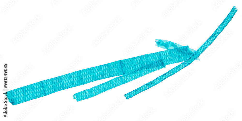 Spirogyra, whole mount, under a light microscope. 20X light micrographs ...