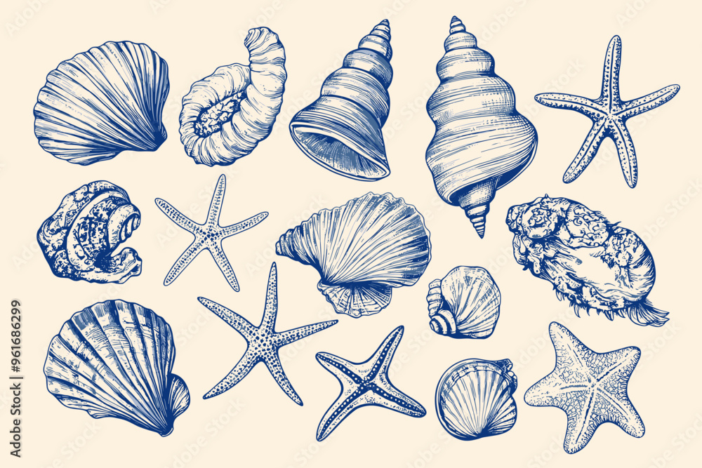 Minimalist hand drawn seashells vector illustration collection. Art for ...