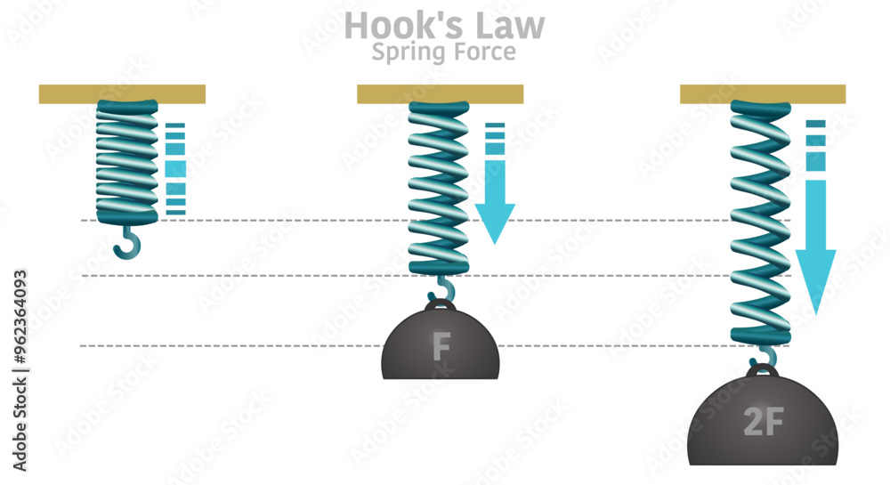 Hooke's law. Hookes, amount of force applied to an elastic object is ...