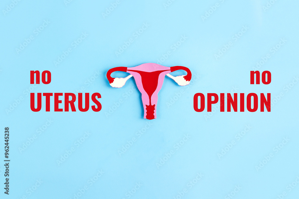 Paper application of the uterus from colored cardboard and the phrase ...