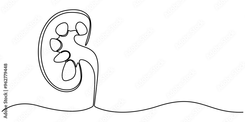 Continuous Line Drawing of Kidney Icon. Hand Drawn Symbol Vector ...