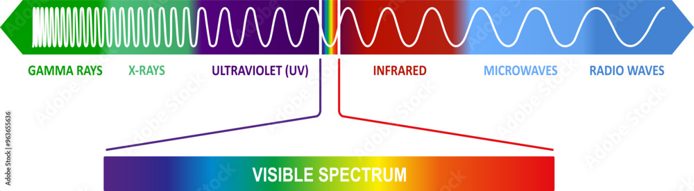 The Electromagnetic Spectrum Vector Diagram Stock Vector 2737