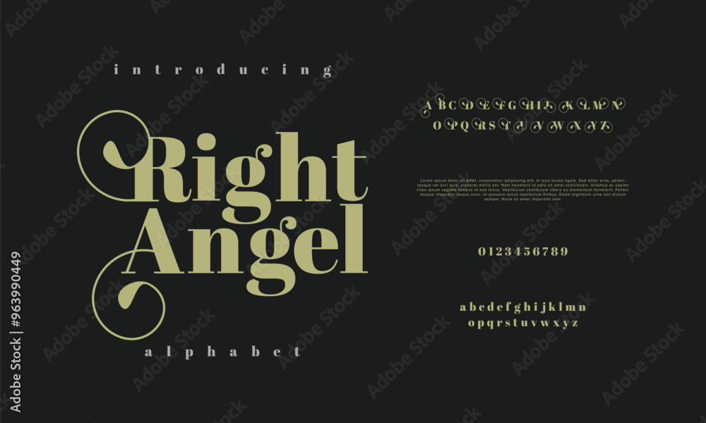 Classic serif font alphabet letters fancy gentle typographic design ...