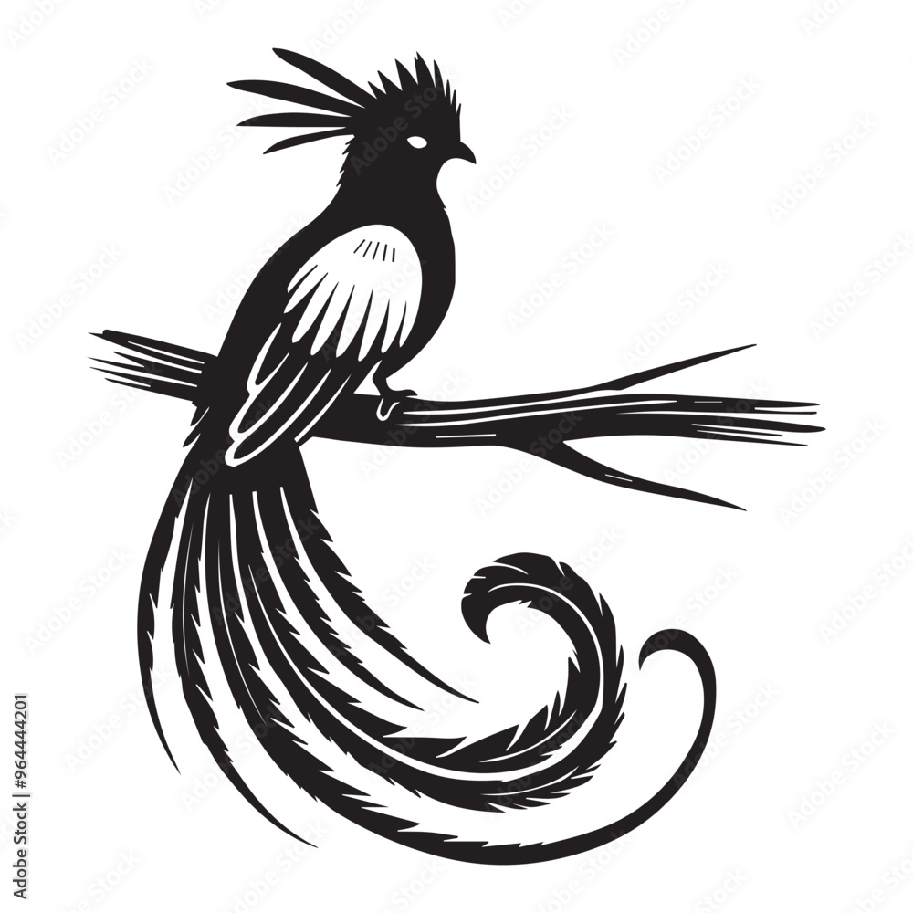 Bird Clipart - Resplendent quetzal Silhouette - Resplendent Quetzal ...