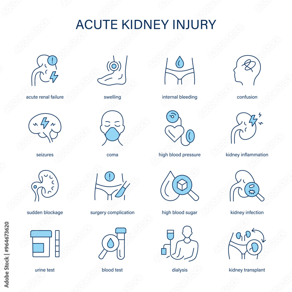 Acute Kidney Injury symptoms, diagnostic and treatment vector icons ...