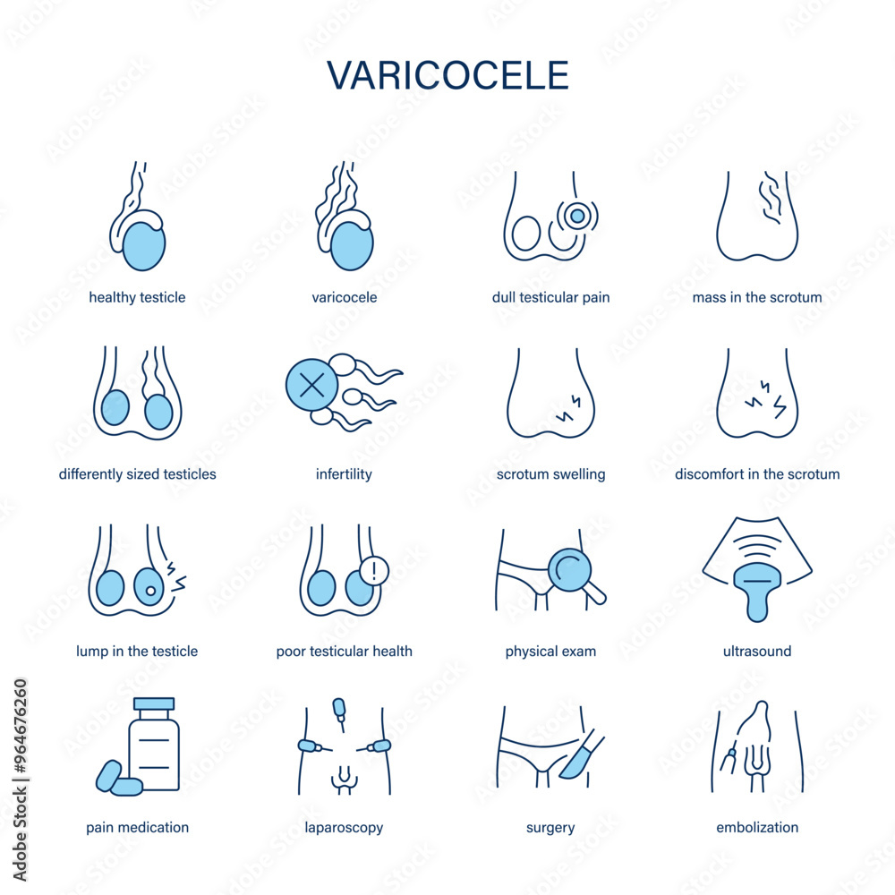 Varicocele symptoms, diagnostic and treatment vector icons. Medical ...