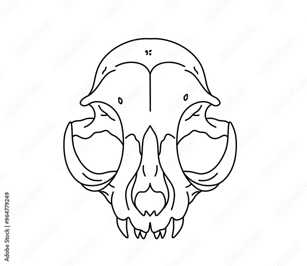 Vector isolated rabbit skull rodent skull colorless black and white contour line easy drawing ...