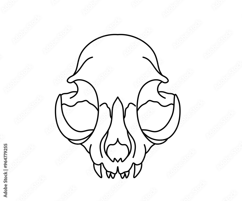 Vector isolated rabbit skull rodent skull colorless black and white ...