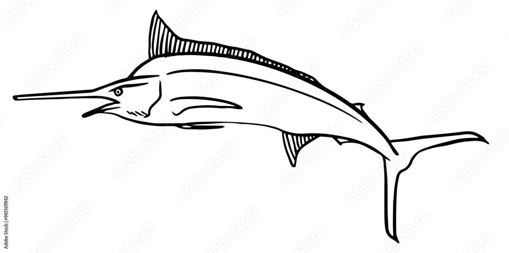 Marlin sketch vector illustration. Depicts ocean or sea fish species ...