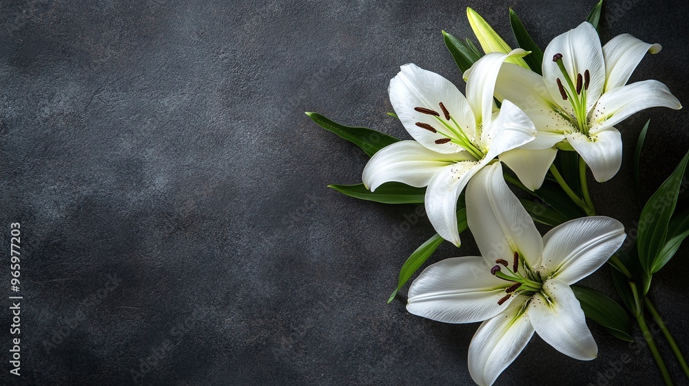 floral branch of white lilies on a soft background ideal for mourning ...