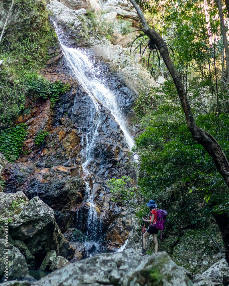 Baxter Falls: A Hidden Gem in Queensland’s Sunshine Coast Hinterland ...