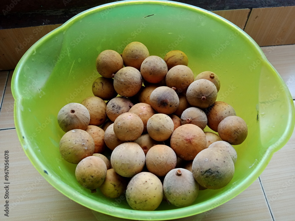 Lansium domesticum fruits commonly known as langsat or lanzones close ...