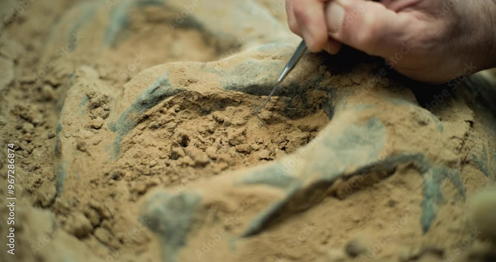 Close up shot of cleaning bones of prehistoric human or dinosaur from ...