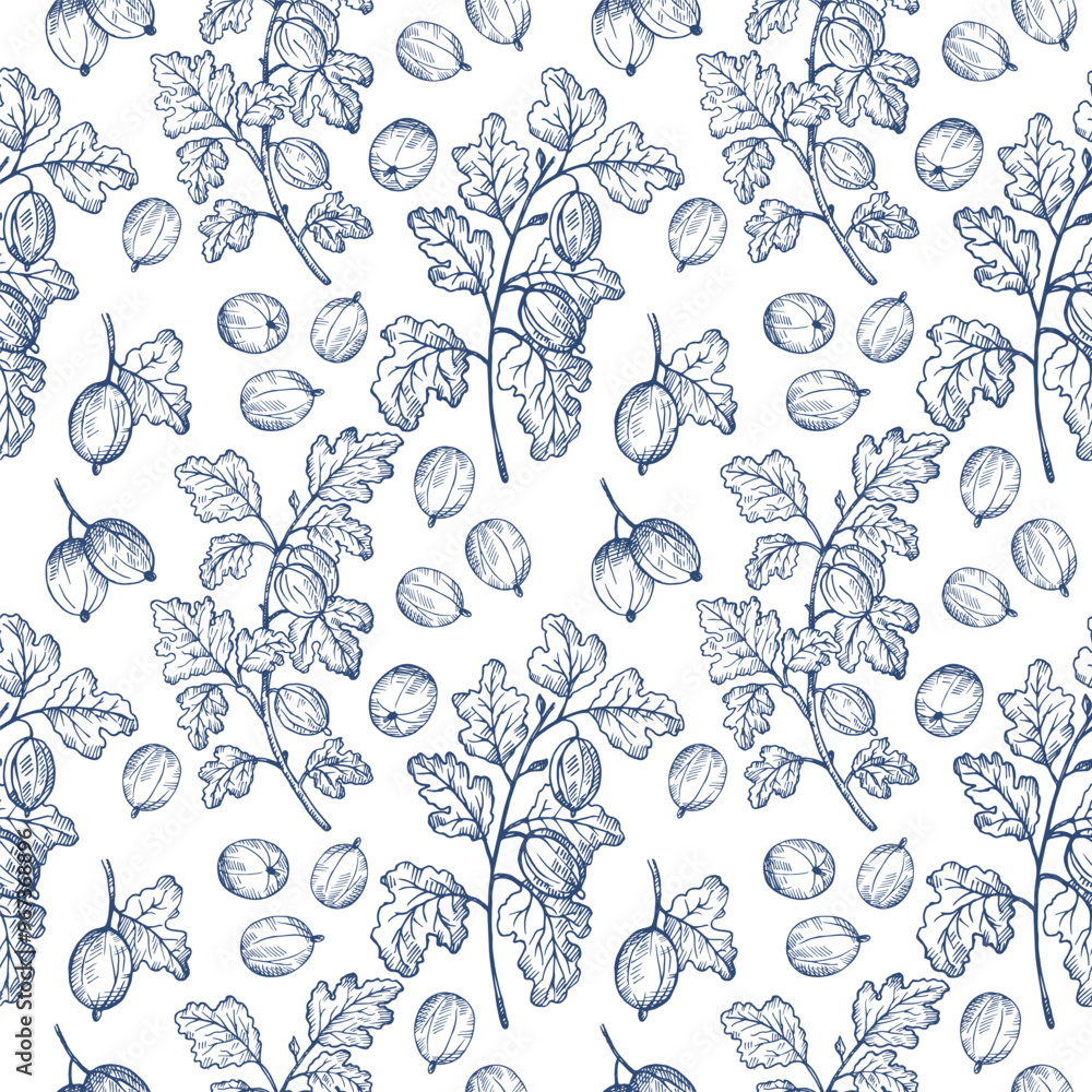Vector seamless pattern with Gooseberry fruits. Hand drawn Repeating ...