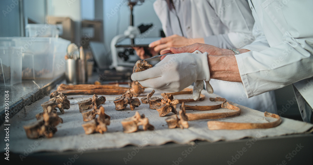 Two archaeologists work in advanced archaeological lab. Mature ...