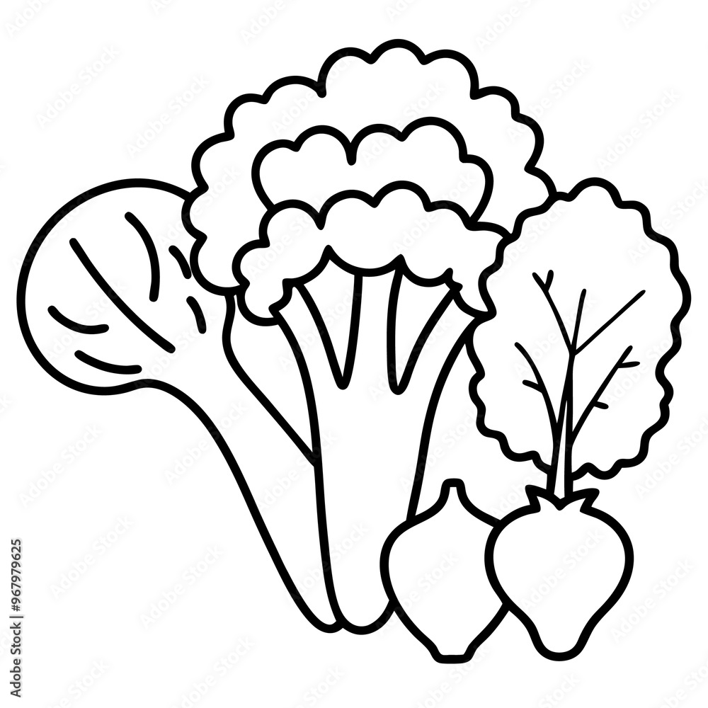 kale broccoli carrots vegetables outline coloring book page line art ...