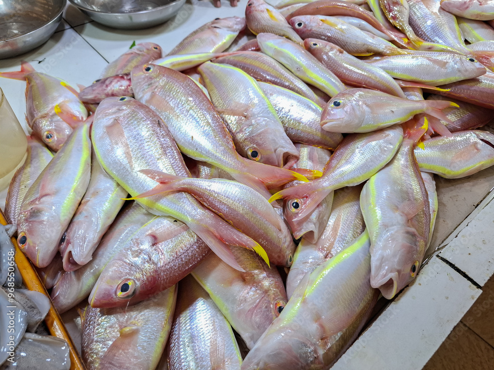 Kurisi fish (Nemipterus nematophorus) is a type of demersal fish that ...