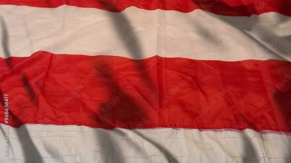 Austrian National Flag, Austrian Flags, Realistic Austrian Flag Waving ...