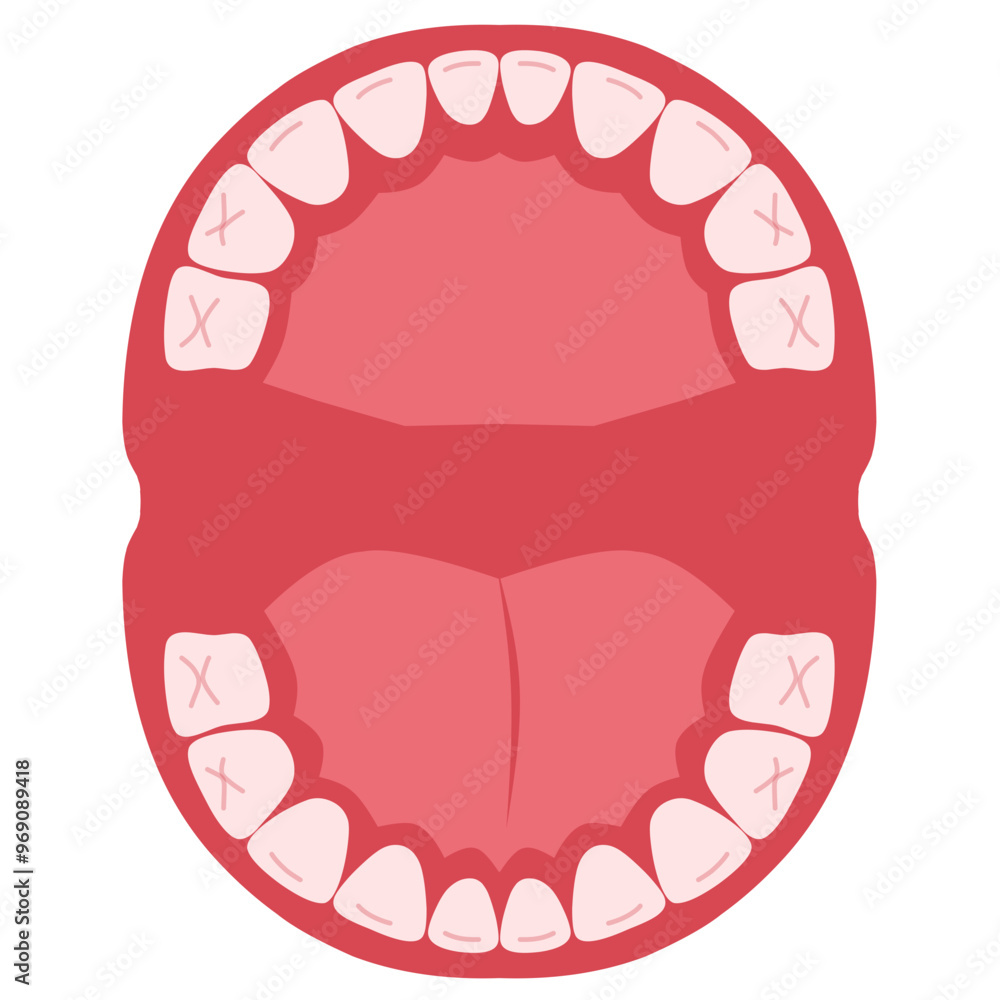Baby teeth Illustration. Baby teething. Primary tooth development. Baby ...