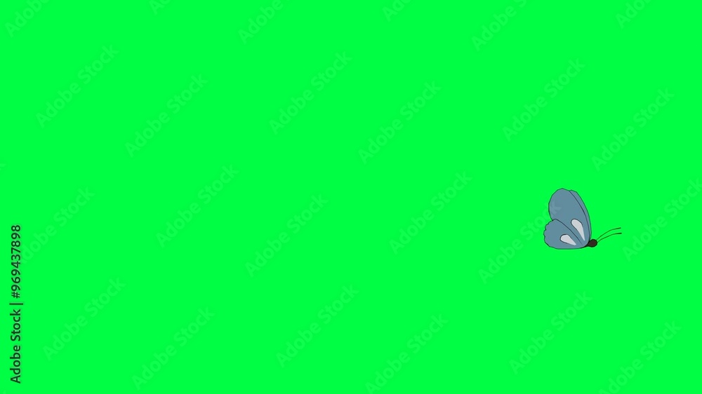 2D animated butterfly character fly and enters from left and sits in ...