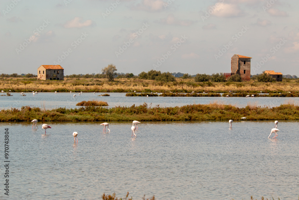 Lidi di Comacchio Adriatic Sea beach and regional park Po Delta storm ...