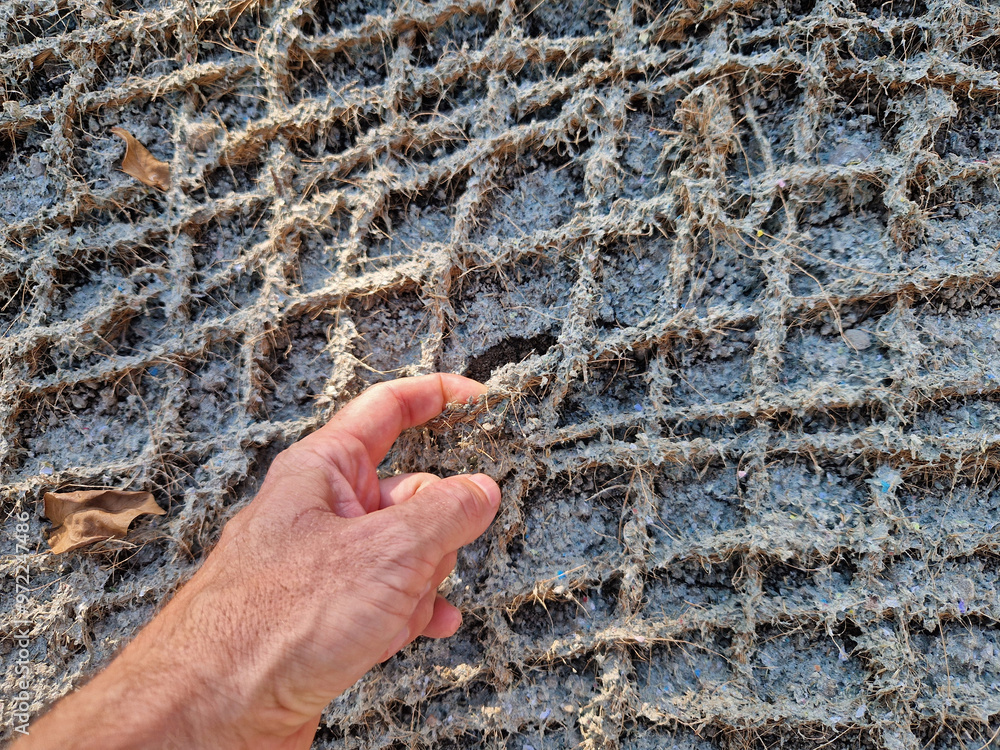 stabilization of slopes by hydro sowing. a mixture of wood pulp and ...