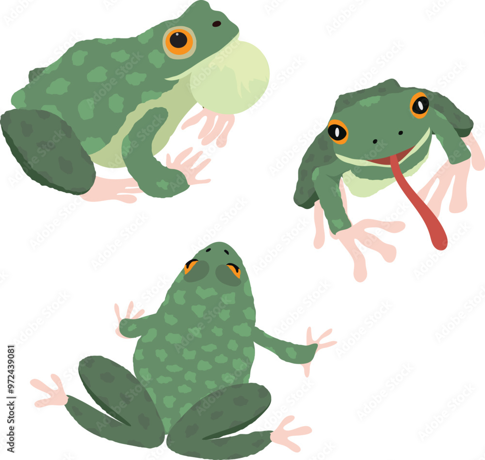 Frog characters illustration. Green frog with vocal sac, frog jumping ...