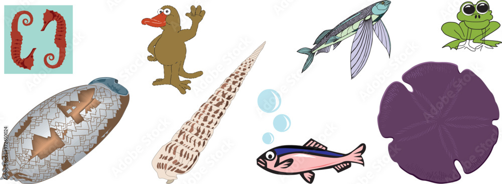 Water Sea Creaters fishes flying fish seahorse shell Sea Lion star ...